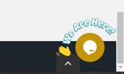 如何安装及使用tawk.to在线聊天工具 | Kiwi建站笔记